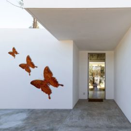 Bromeliad | Matchstick - Aechmea Gamosepala | Ladybugs