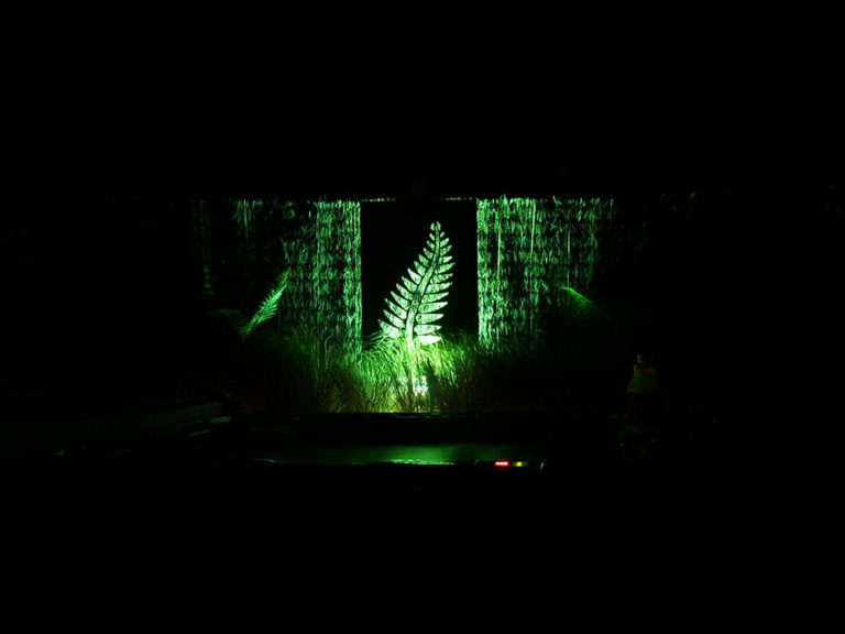 Privacy Screen | Garden Art | NZ Silver Fern | Ladybugs