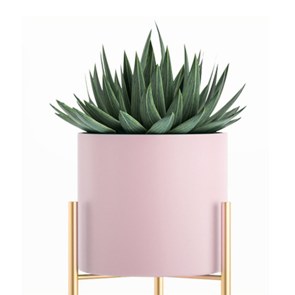 Pink Plant Stand | Ladybugs Garden Centre